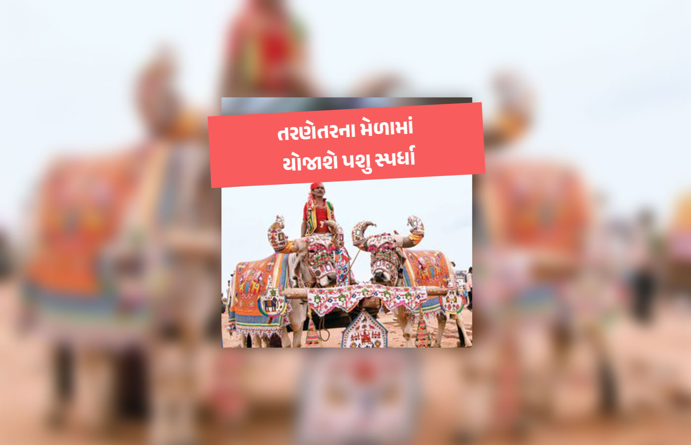 તરણેતરના લોકમેળામાં શ્રેષ્ઠ પશુને ‘ચેમ્પિયન ઓફ ધ શો' જાહેર કરાશે ...