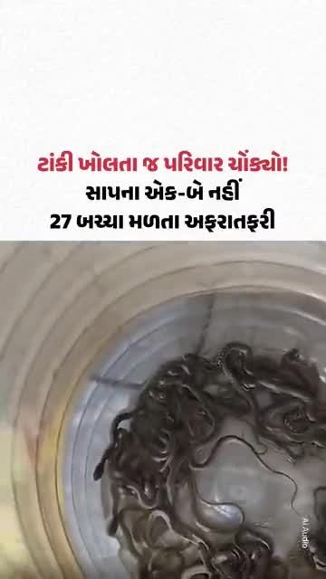 Latest Gujarati News Videos, ગુજરાતી સમાચાર વીડિયો - Gujarat Samachar